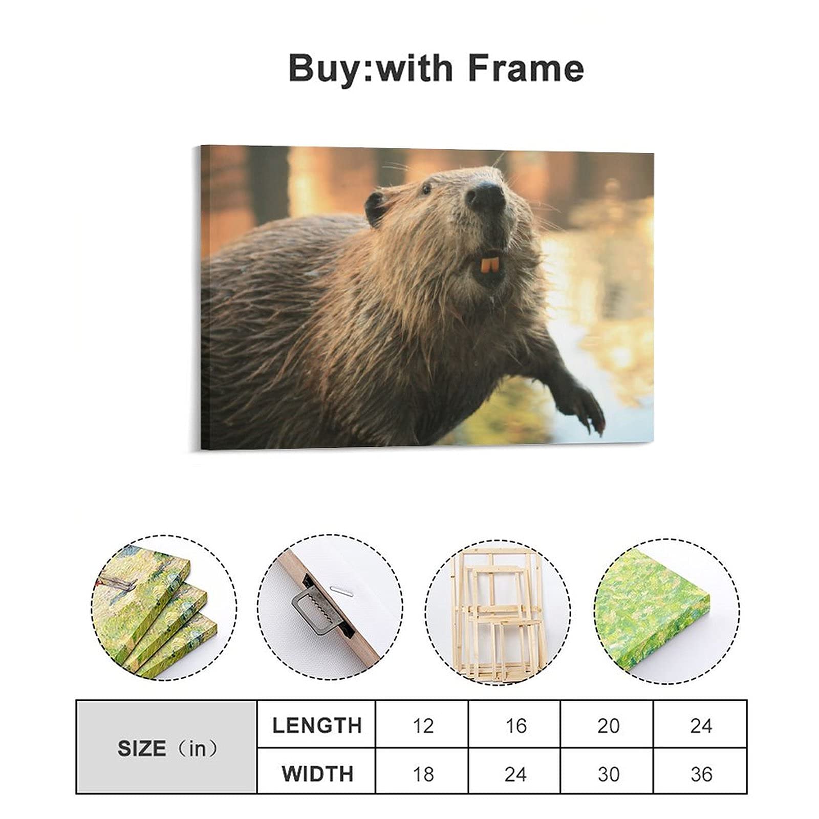 Baby Beaver Teeth