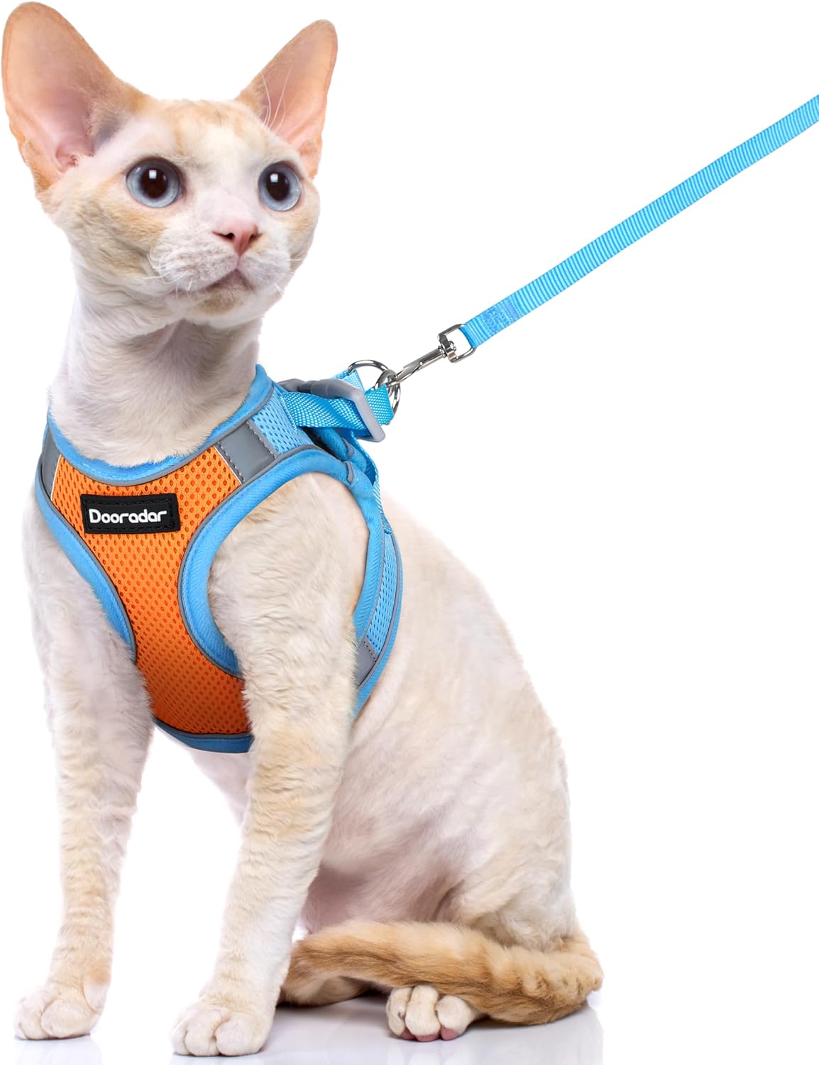 Amazon.com : Dooradar Cat Harness and Leash Set, Escape Proof ...