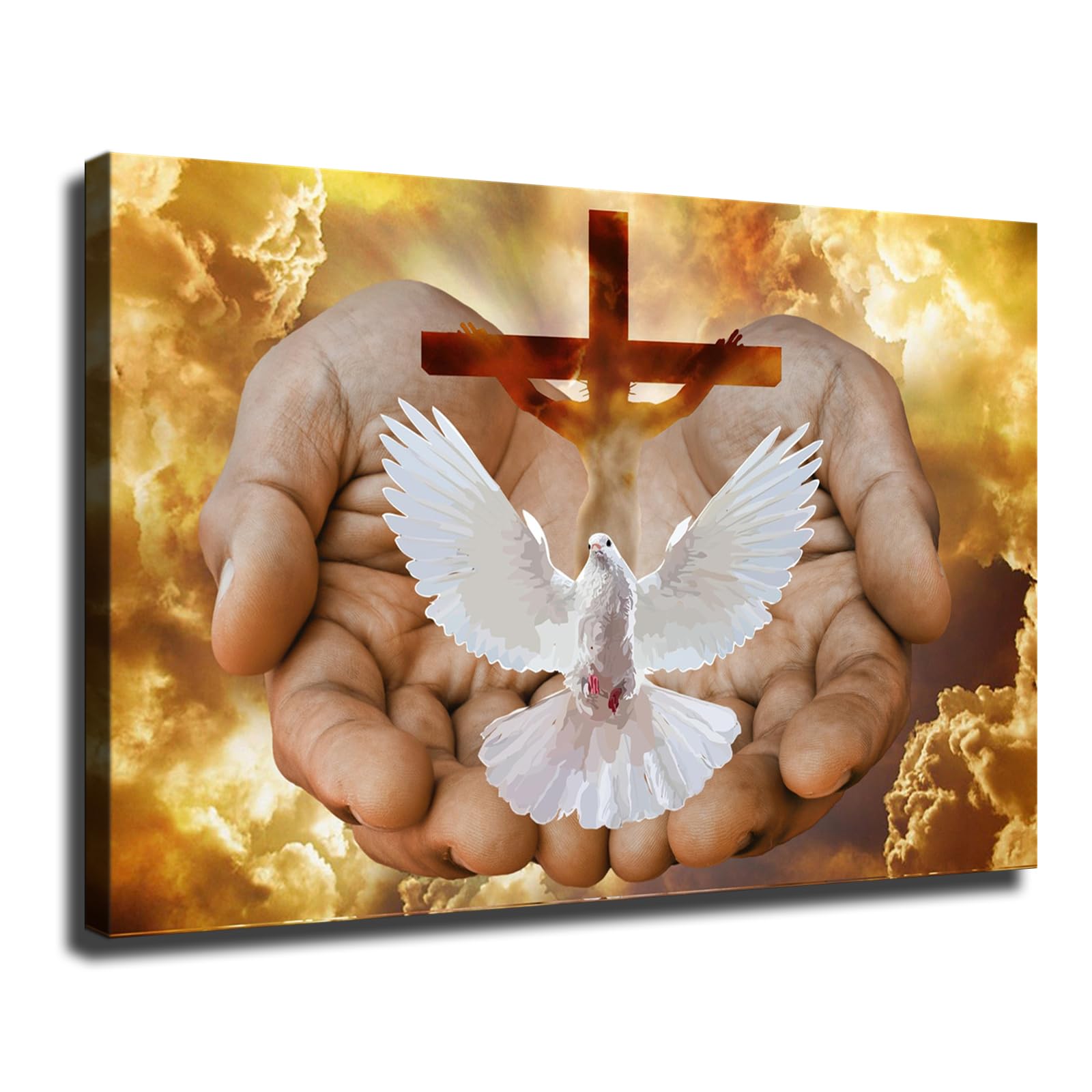 Holy Spirit Dove On Jesus
