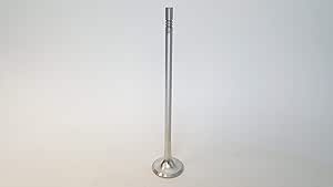 Amazon.com: Volvo Truck 21016539 Exhaust Valve : Automotive