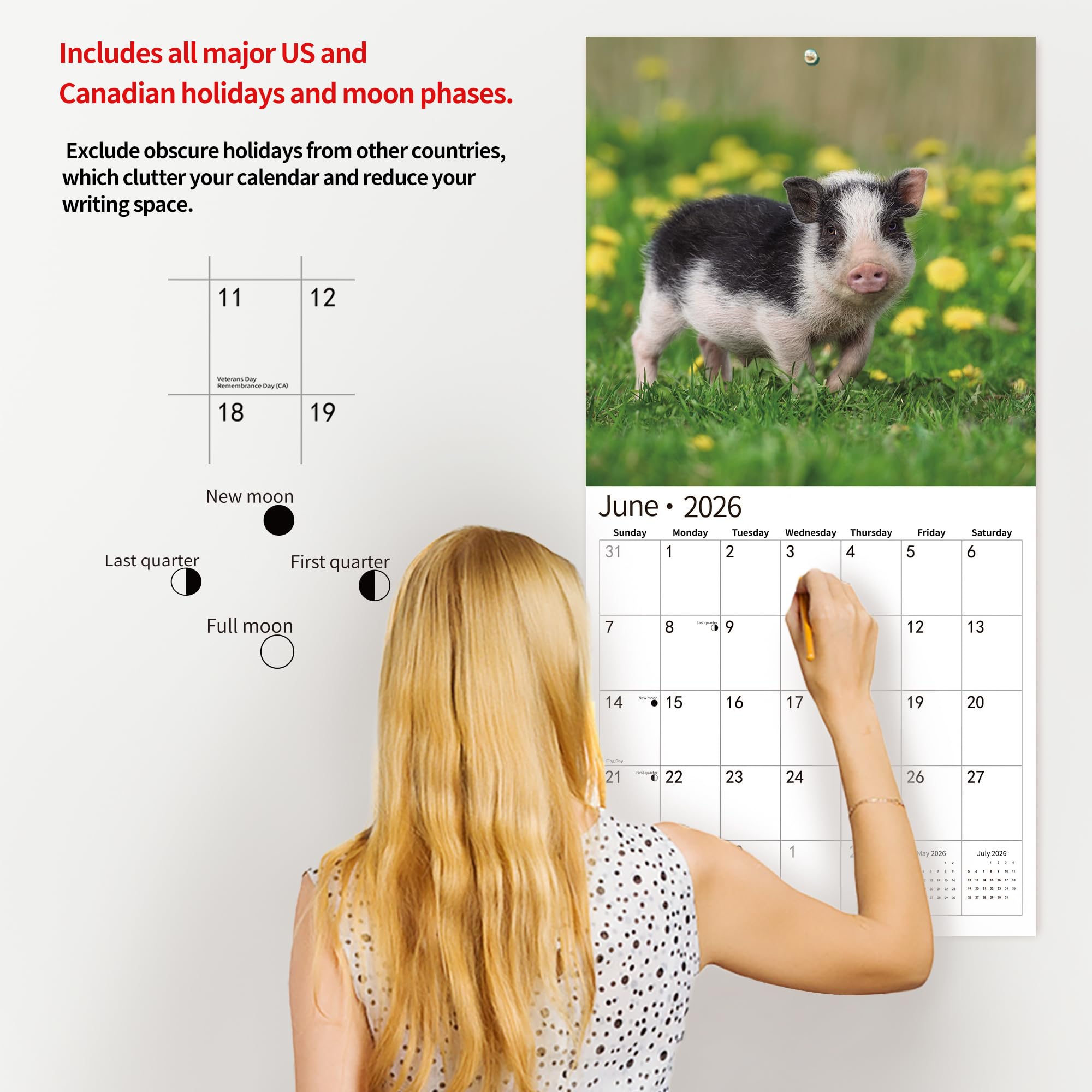 Snapklik.com : 2026 Wall Calendar,Calendar 2026, November 2025 ...