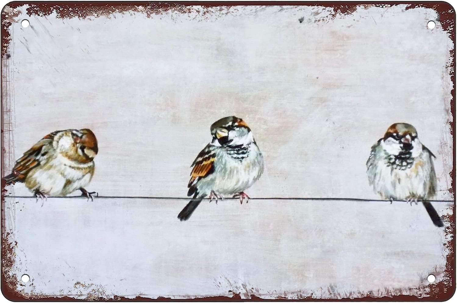 Amazon.com: Three Sparrows On A Line Tin Sign Retro Poster Bird Vintage ...