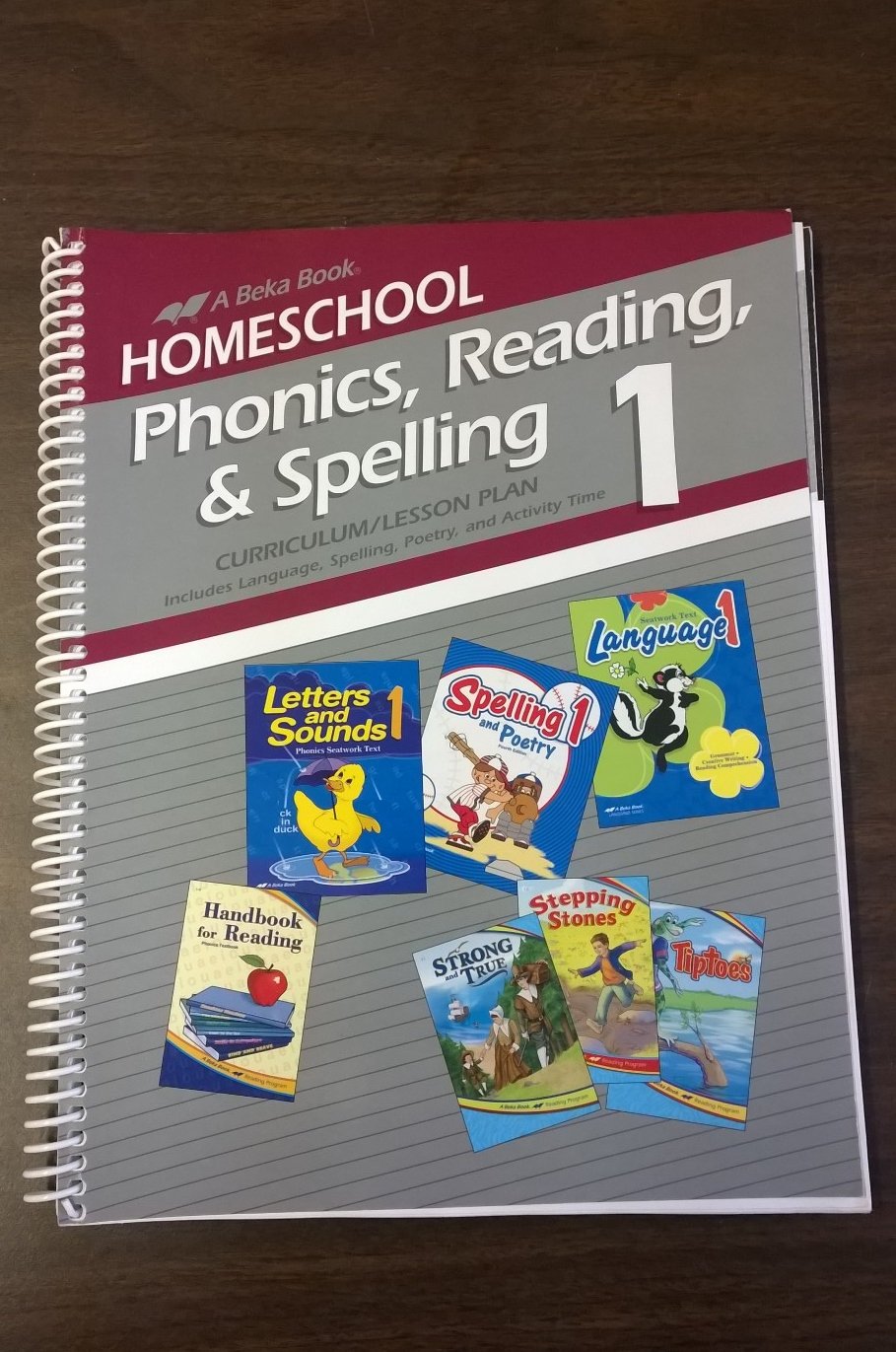 Homeschool Phonics, Reading and Spelling 1 Curriculum/Lesson Plan: A ...