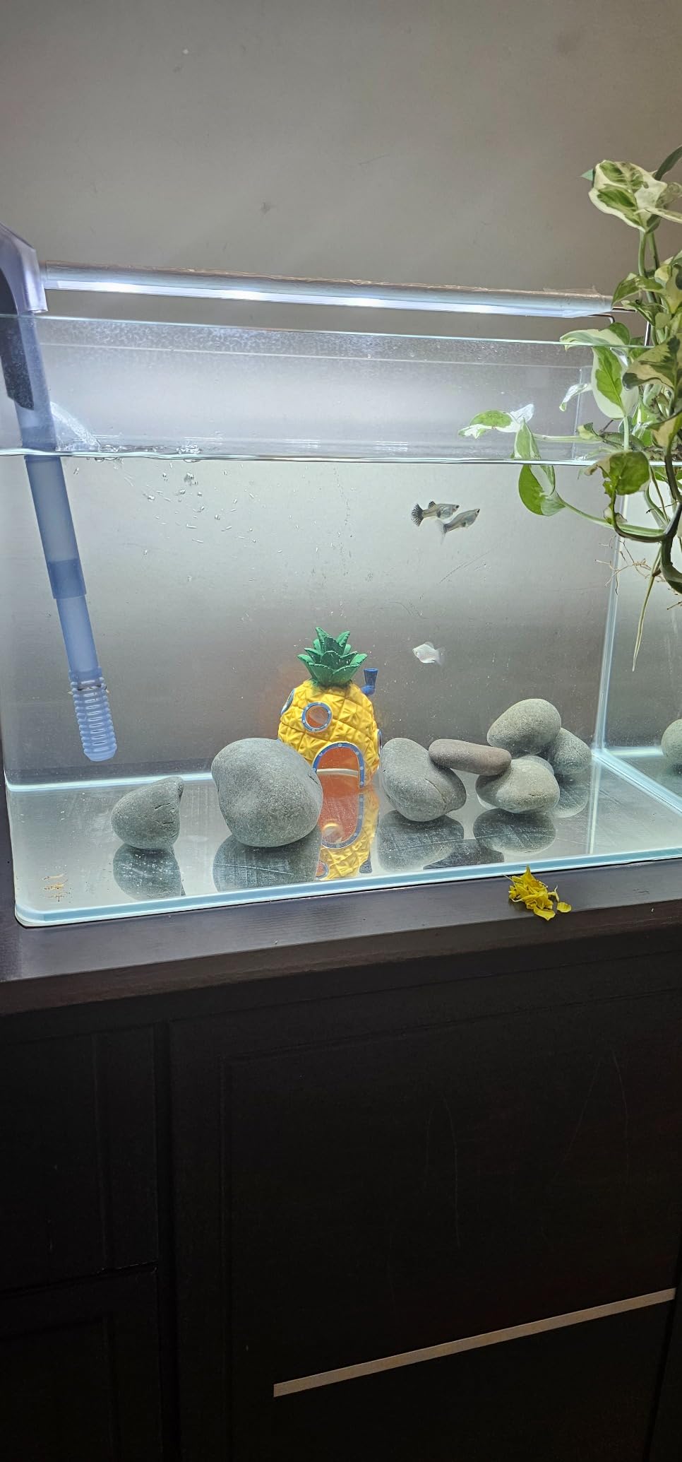 VAYINATO® Colourful Pineapple House Fish Hiding Cave Resin Ornaments ...