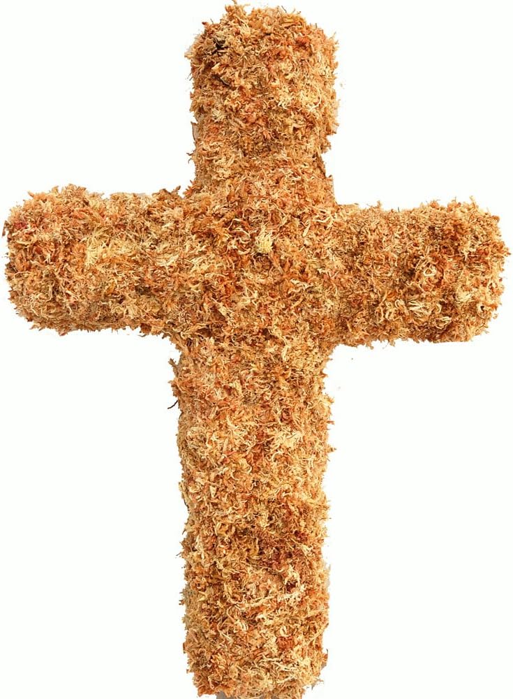 Amazon.com: Moss Cross Living Wreath Form - 14" High : Home & Kitchen