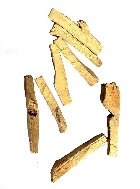 Buy Choicepick SWAYAMBU SWETARK Ganapati SWETARK Root NO Carving ...