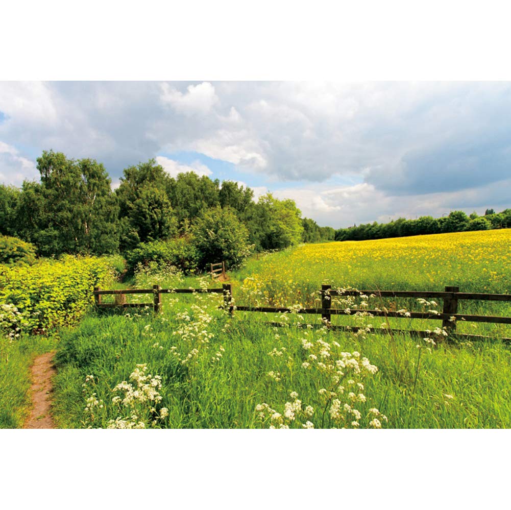 Rustic Field Background Rustic Wooden Table Over Wheat Field And