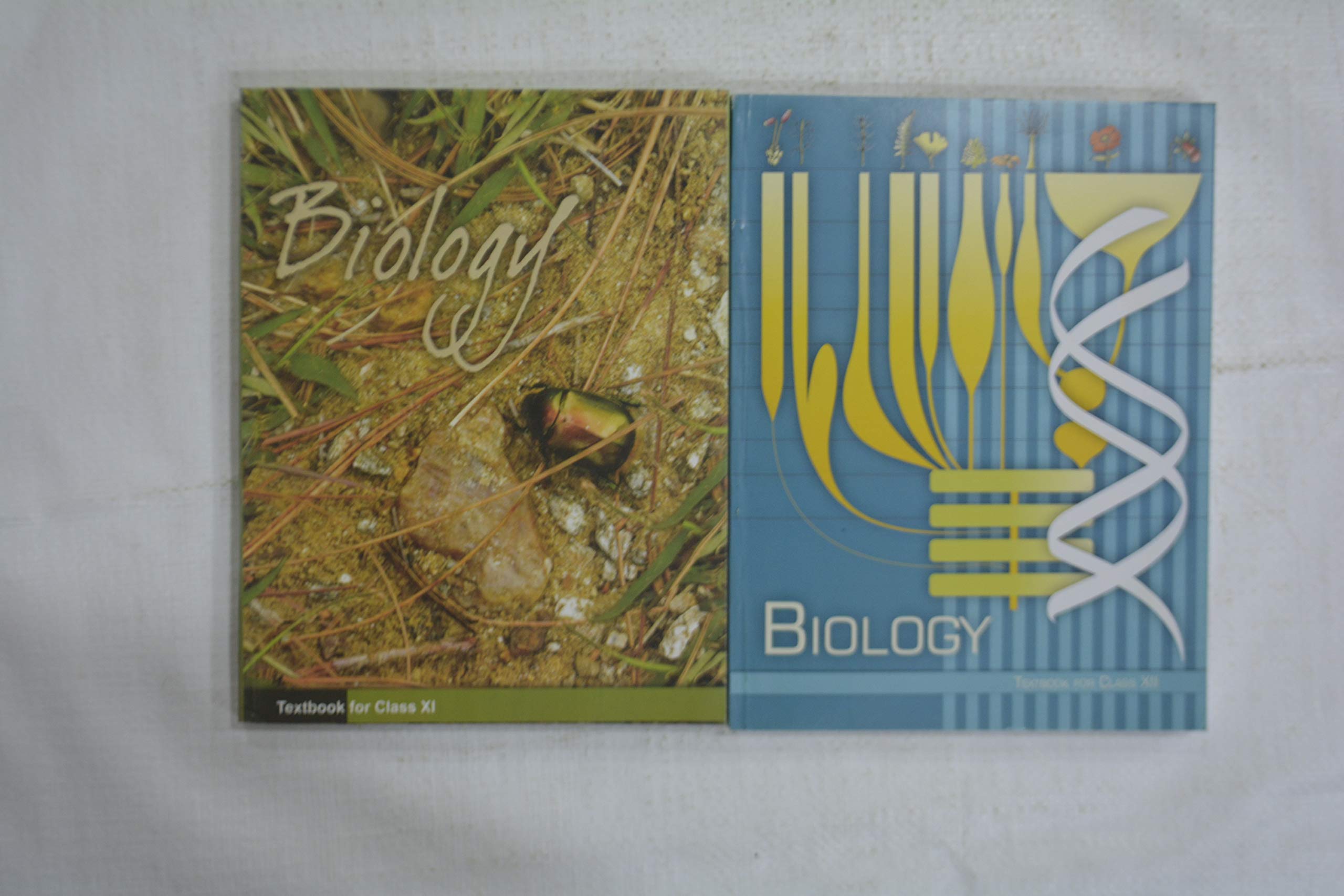 NCERT Biology Textbook For Class - 11 And Class - 12 ( Set Of 2 Books ...