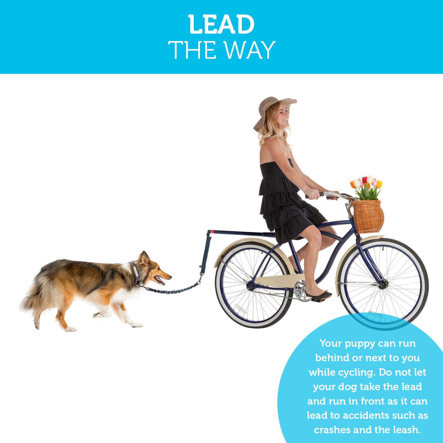Why Do Dogs Run Behind Bikes