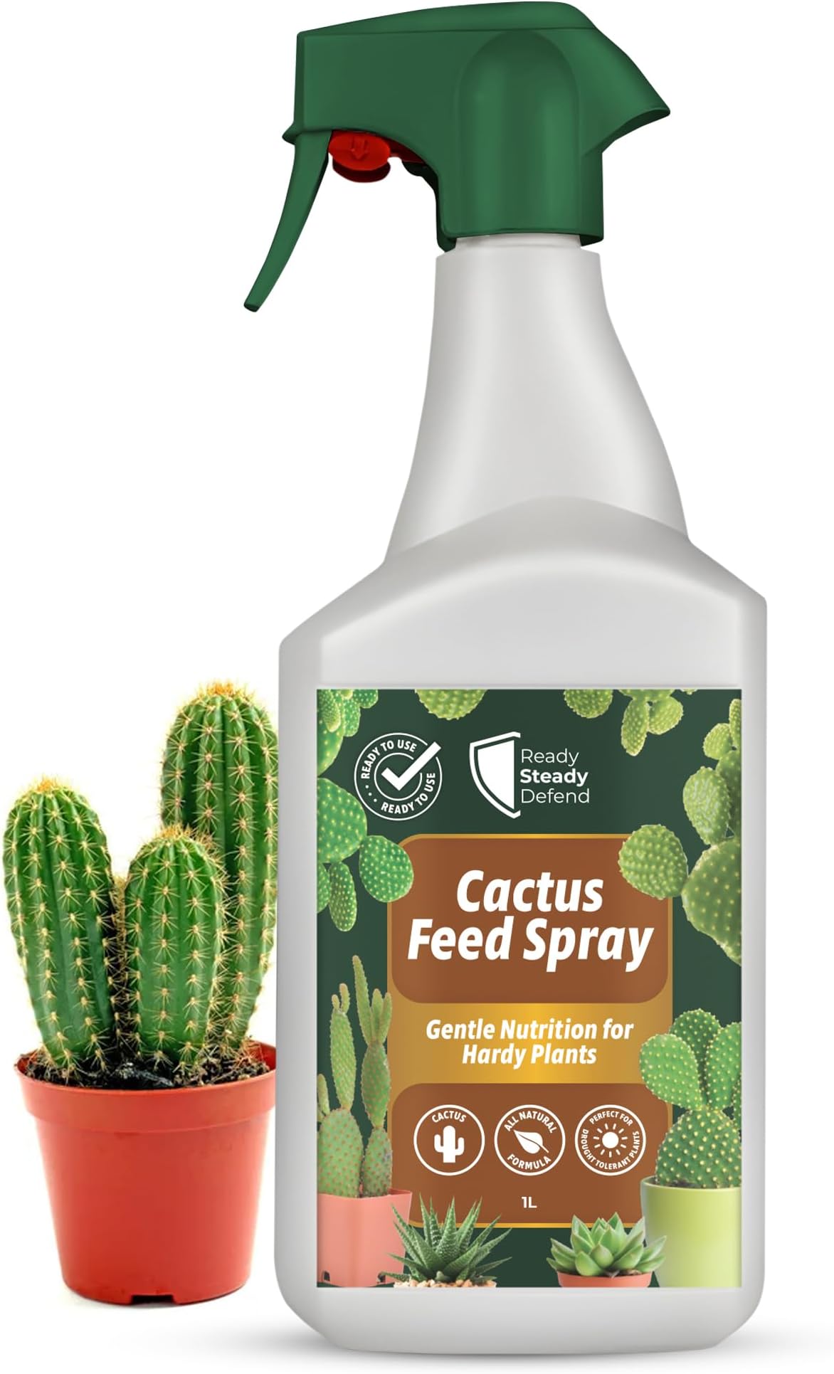 Cactus and Succulent Focus 1 Litre : Amazon.co.uk: Garden
