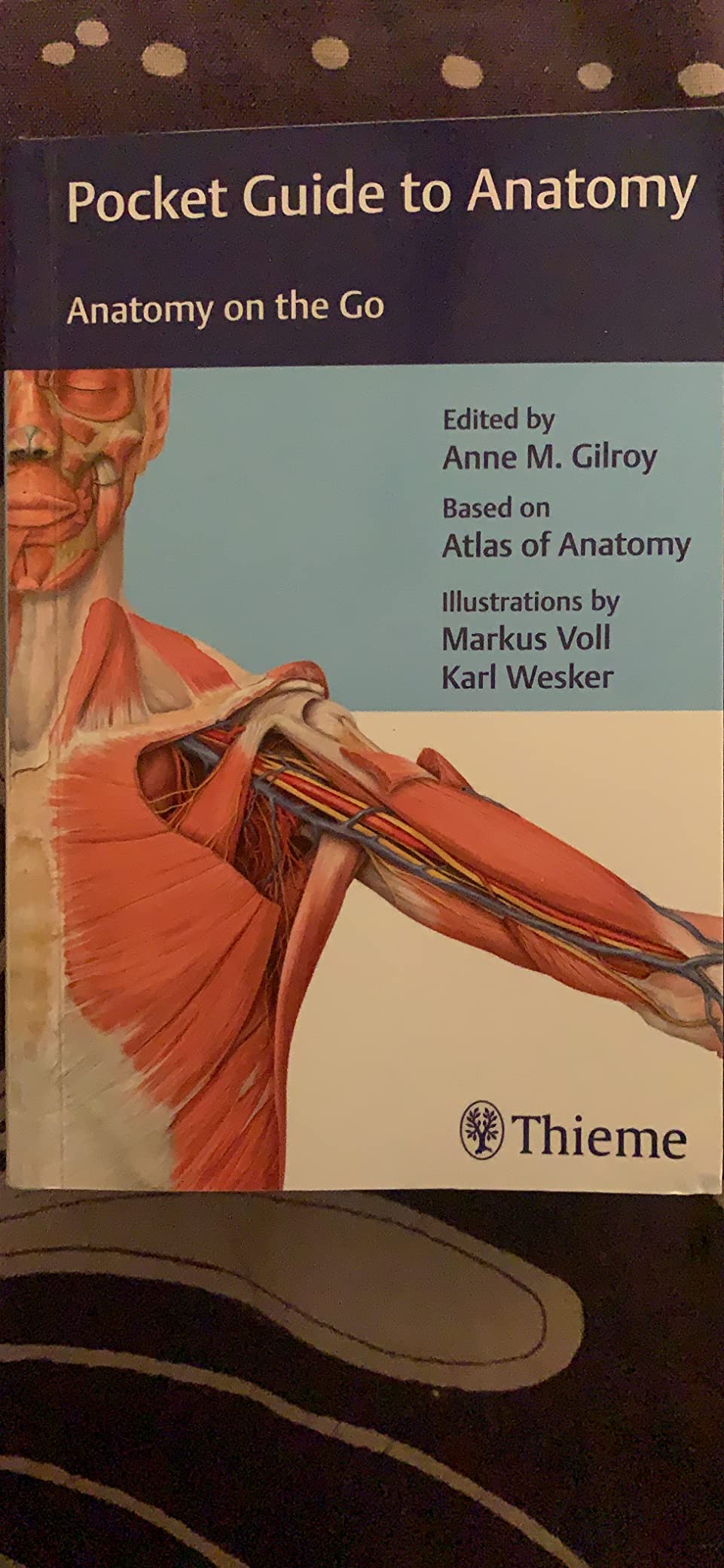 Buy Pocket Guide to Anatomy - Anatomy on the Go Book Online at Low ...