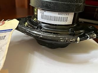 Amazon.com: Mopar 68252518AA INSULATOR ENGINE MOUNT : Automotive