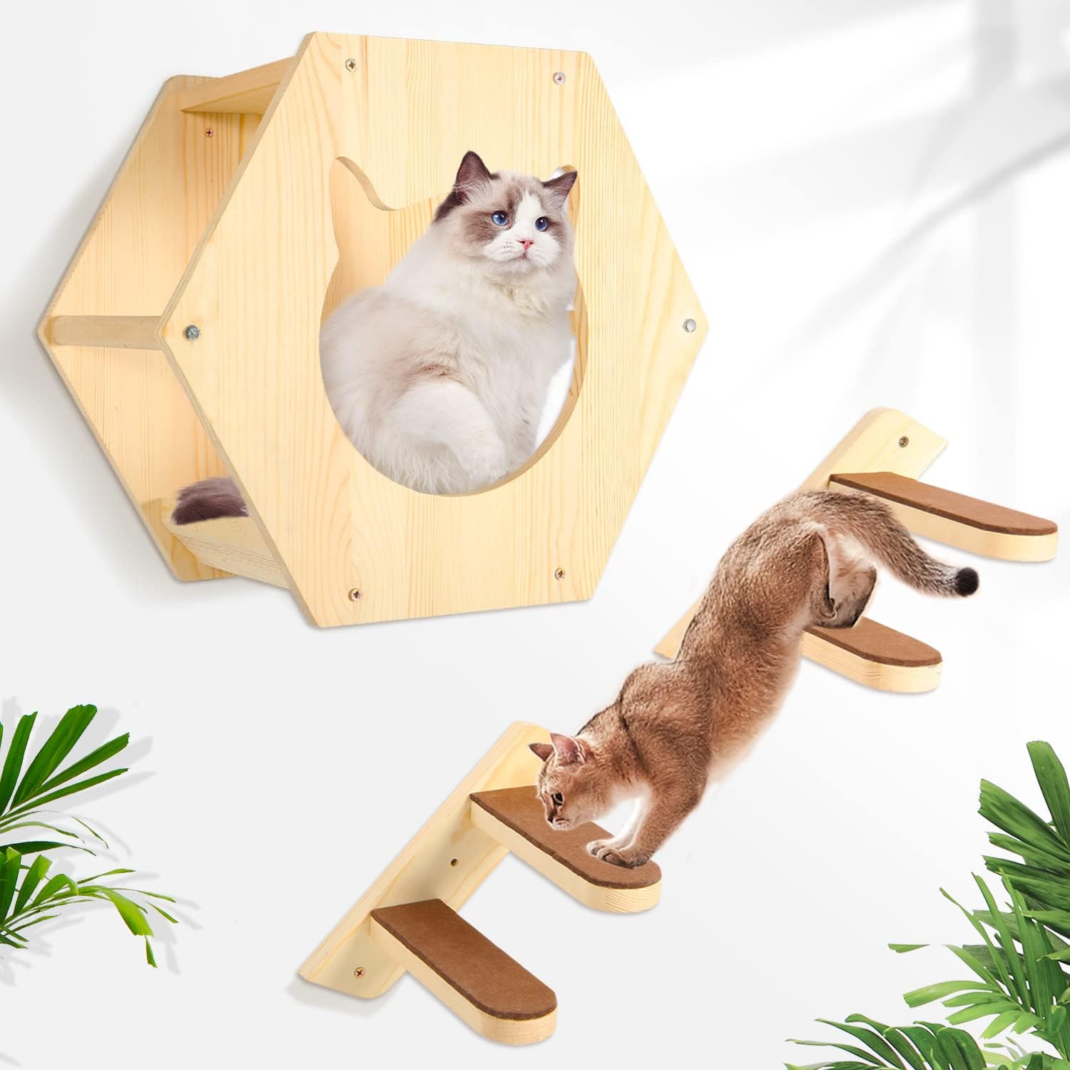 Amazon.com : LONINAK Cat Wall Furniture - Cat Wall Shelves and Cat Wall ...