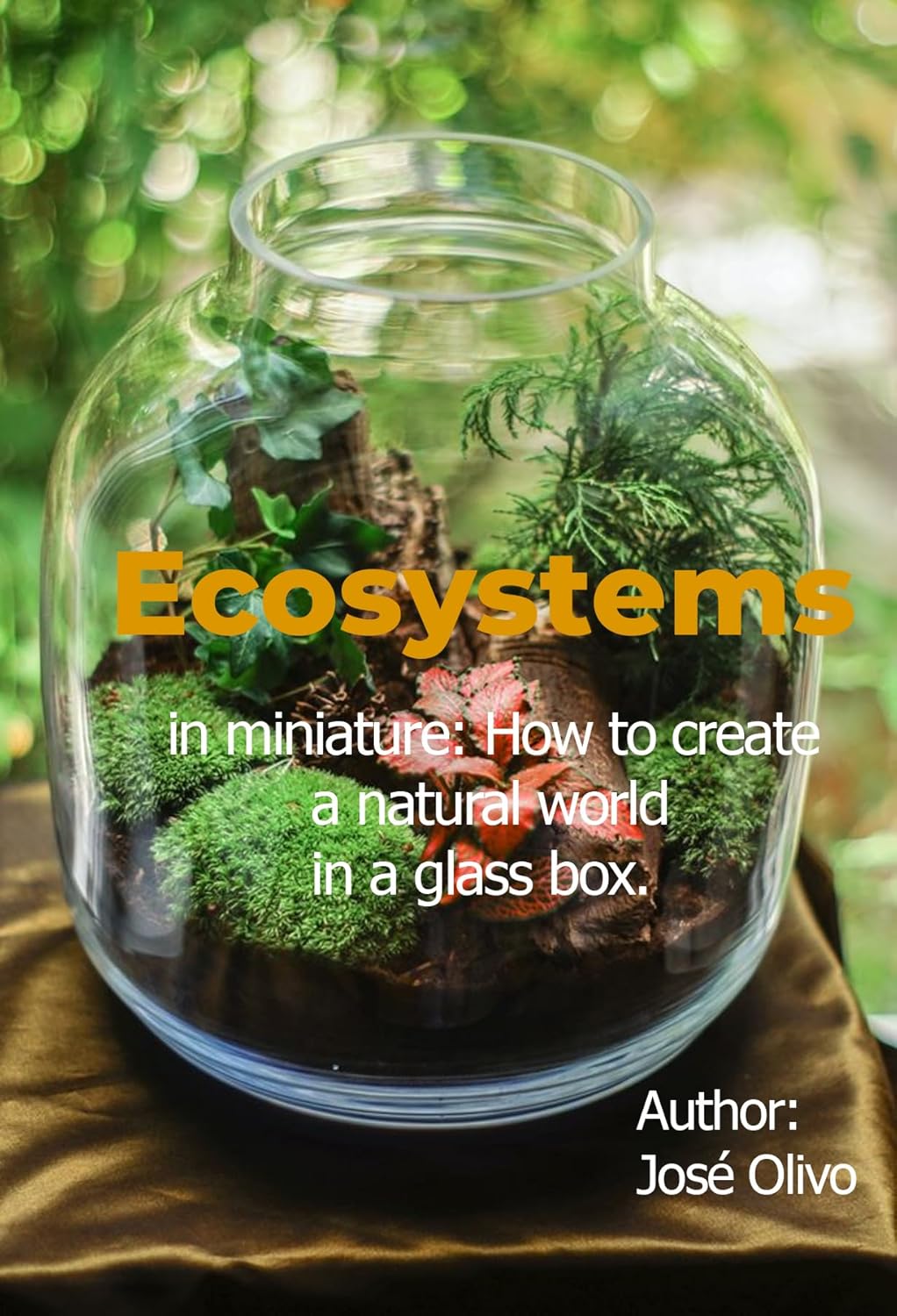 Ecosystems in miniature: How to create a natural world in a glass box ...