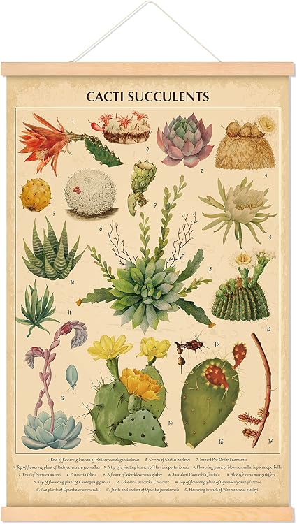 Tatuo Vintage Cacti Succulent Poster Cactus Wall Art Prints Rustic ...