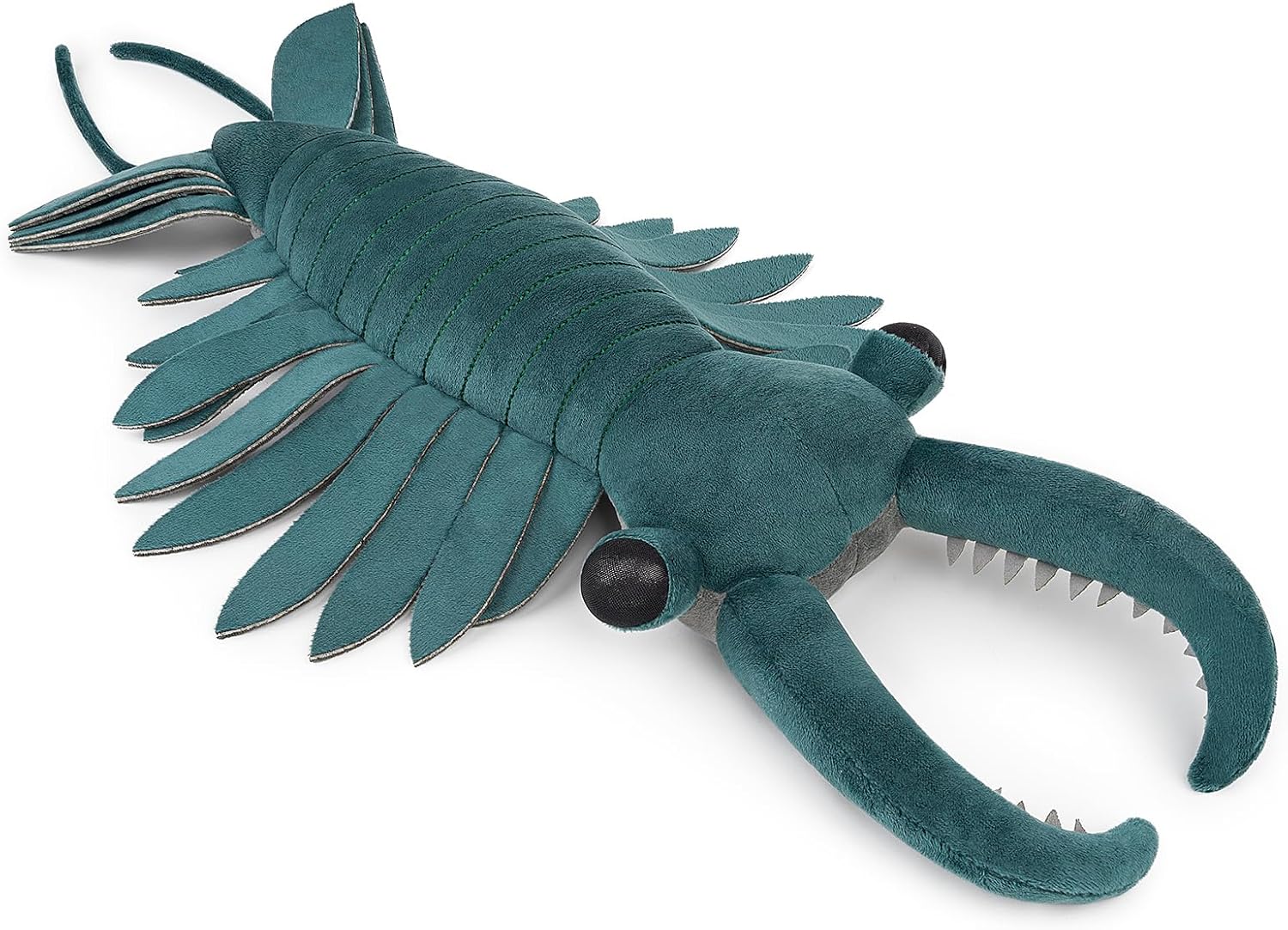 Amazon.com: Frankiezhou Home Realistic Anomalocaris Plush Toy - Lifelike 21" Green Cambrian ...