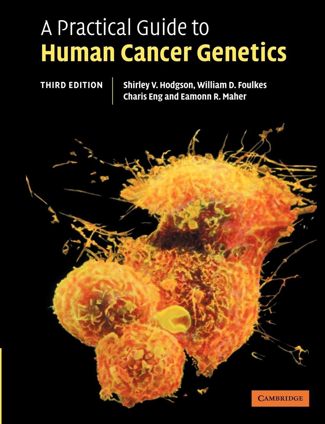 A Practical Guide to Human Cancer Genetics: 9780521685634: Medicine ...