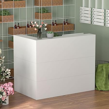 Amazon.com: AIEGLE Reception Desk with Counter Drawers & Storage ...