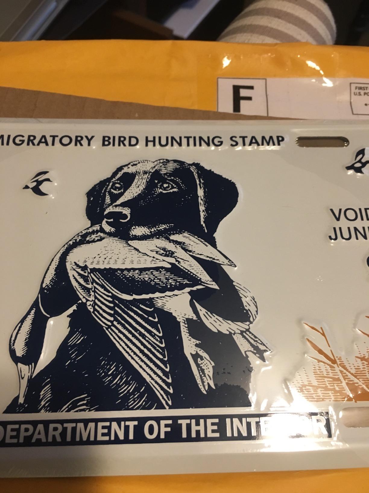 Amazon.com: FEDERAL DUCK STAMP LICENSE PLATE "KING BUCK" BLACK LAB RW ...