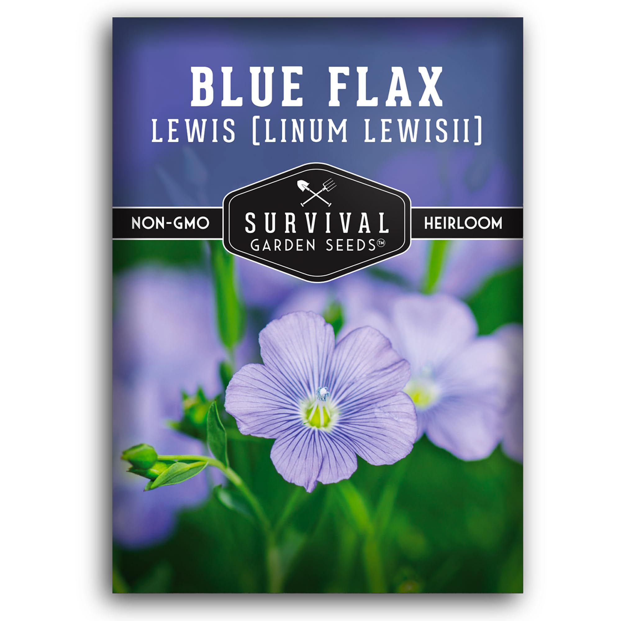 Amazon.com : Lewis Blue Flax Seeds for Planting - 1 Packet with ...