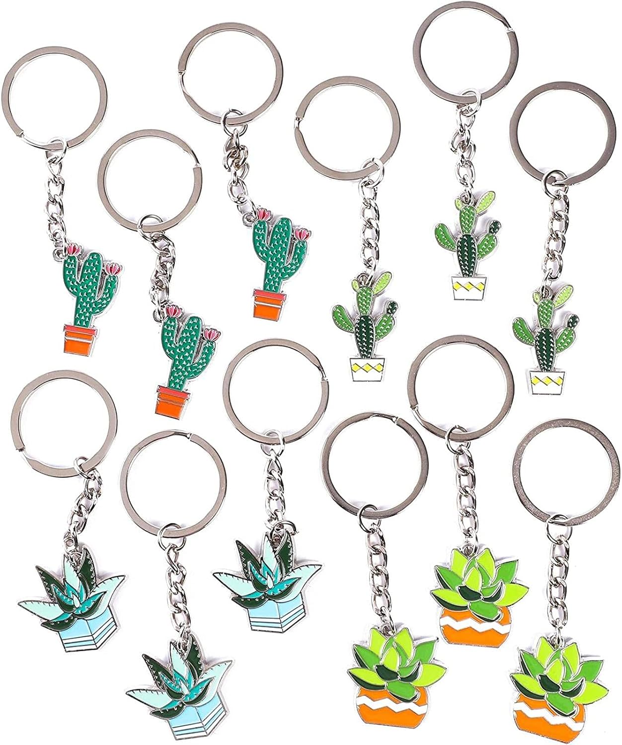 Amazon.com: Succulent and Cactus Keychains (4 Designs, 12 Pack) : Patio ...