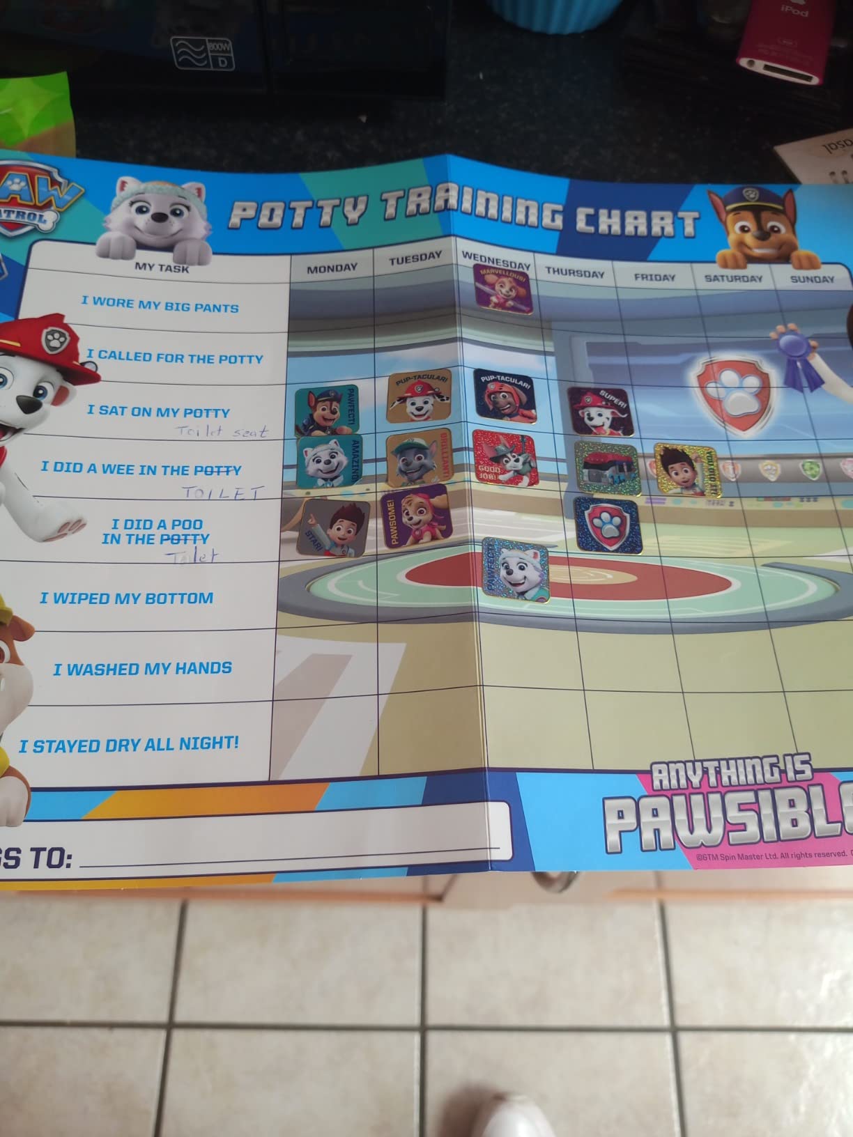 Paper Projects 01.70.30.025 Paw Patrol Potty and Toilet Training Reward ...