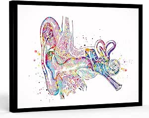 Amazon.com: Home Decor Word Art Wall Decor for Bedroom Ear Anatomy ...