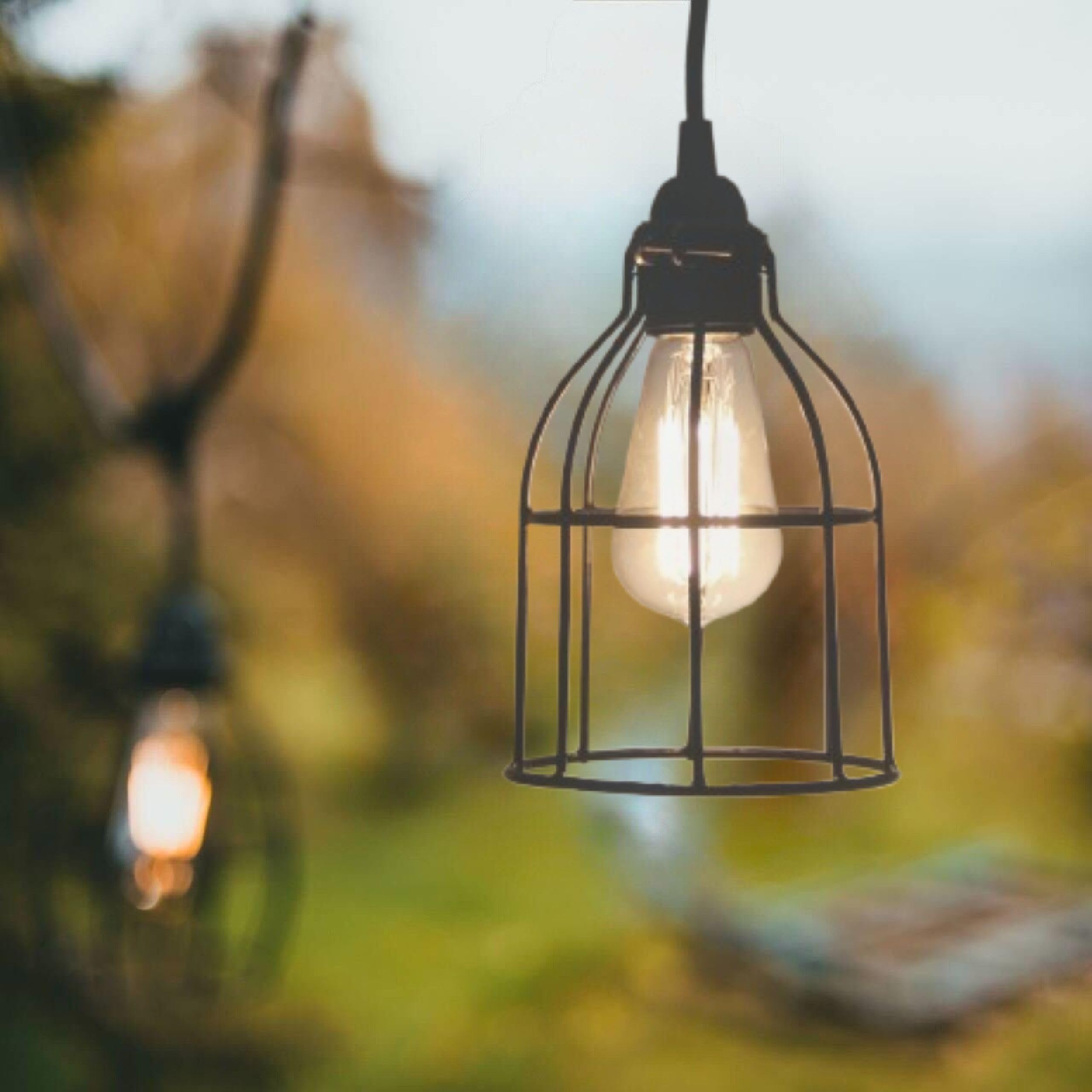 Diy Wire Cage For Light DIY Industrial Pendant Cage Light