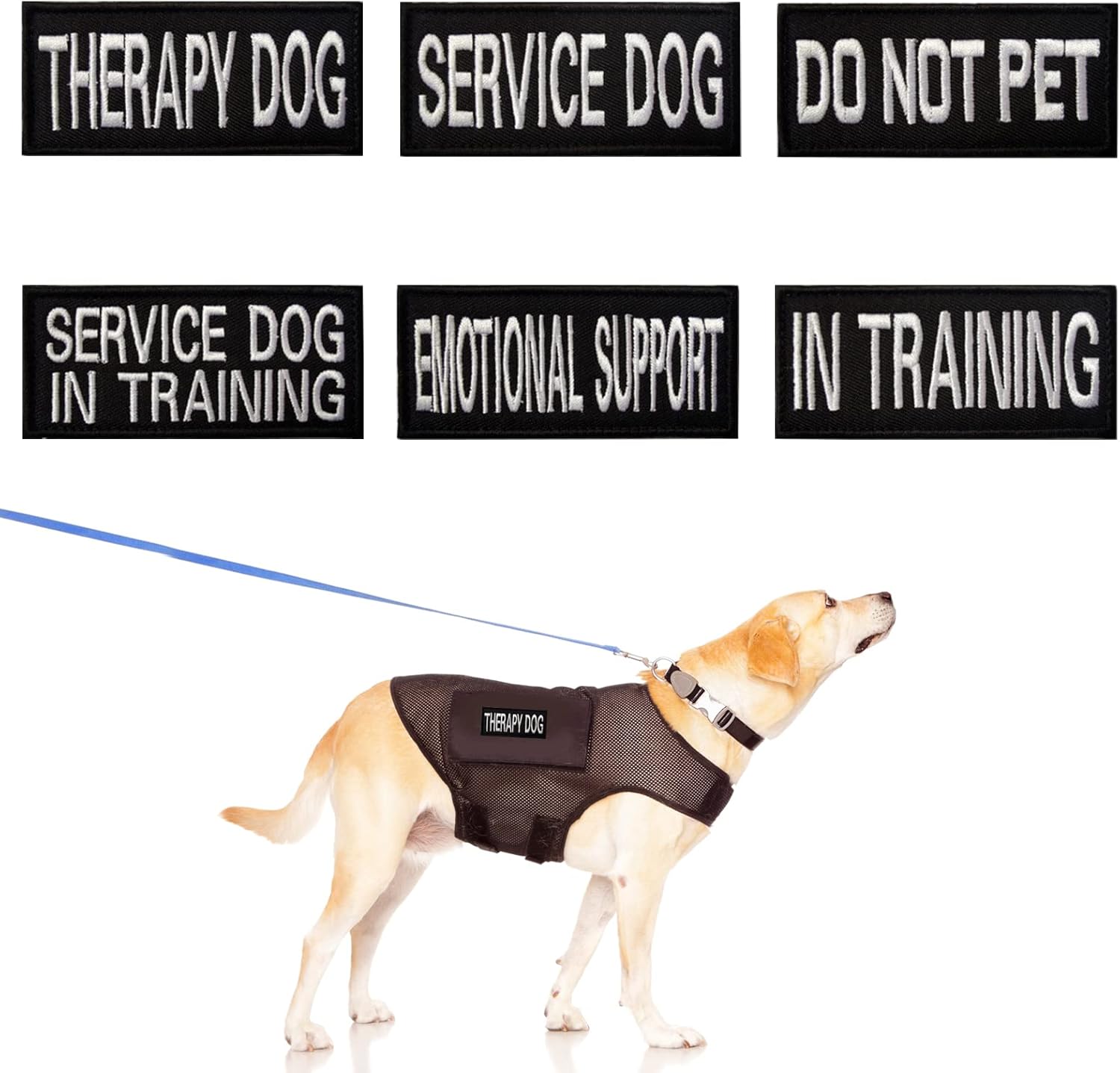Amazon.com: 6 PCS Service Dog Patch for Dog Vest Ask to Do Not Pet ...