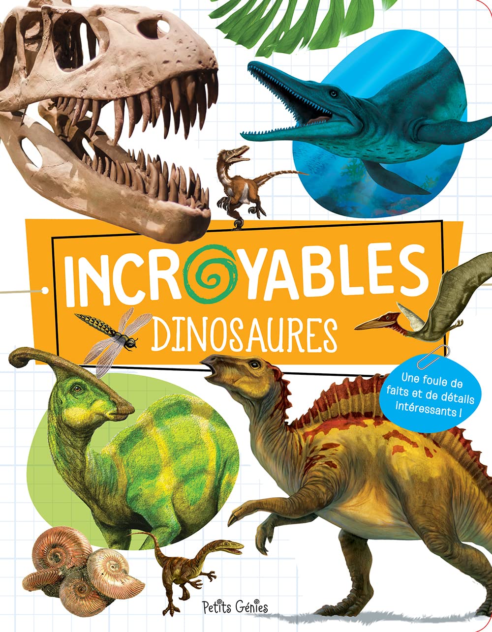 Incroyables dinosaures: Robichaud, Danielle, Fonte, Isabelle ...