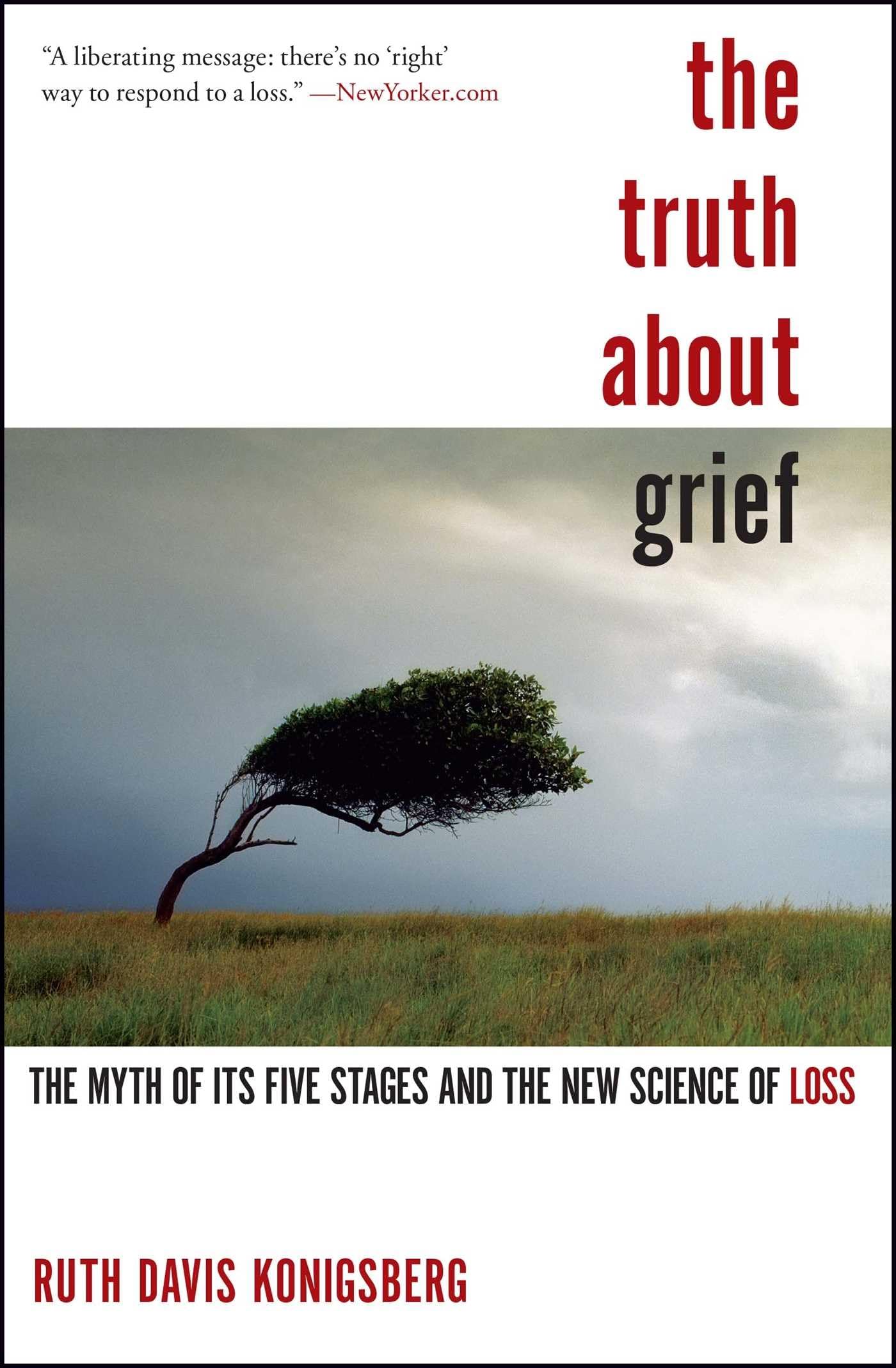 Amazon.com: The Truth About Grief: The Myth of Its Five Stages and the ...