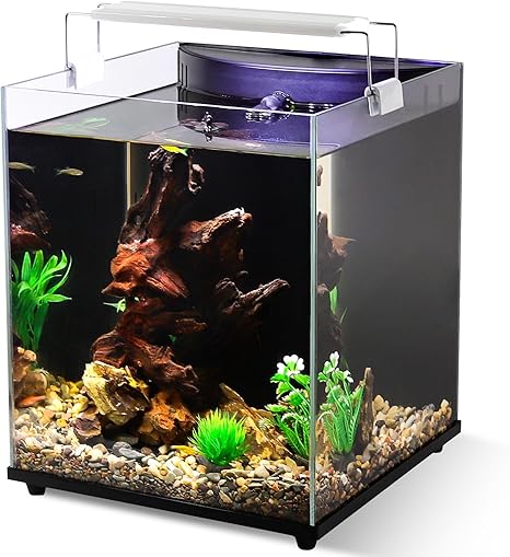 Amazon.com : fishkeeper 5 Gallon Fish Tank Starter Kit, Small Aquarium ...