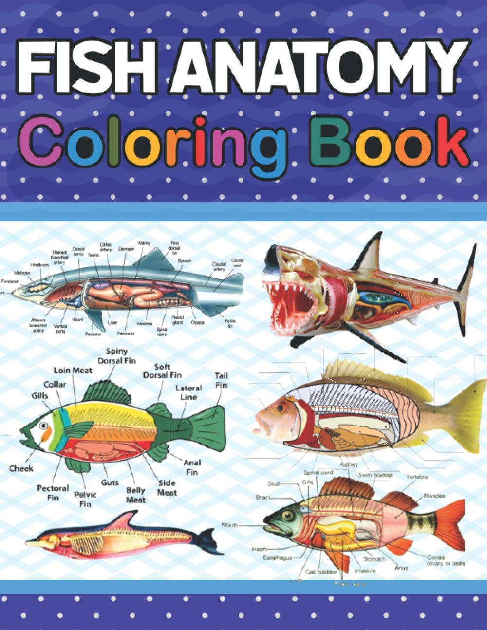 Buy Fish Anatomy Coloring Book: Introduction to Fish Anatomy Workbook ...