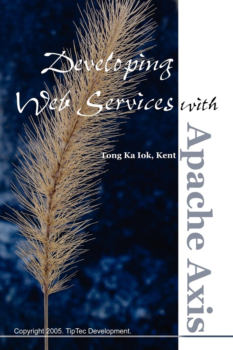 Developing Web Services with Apache Axis: Tong Ka Iok, Kent,: 9781411670327: Amazon.com: Books