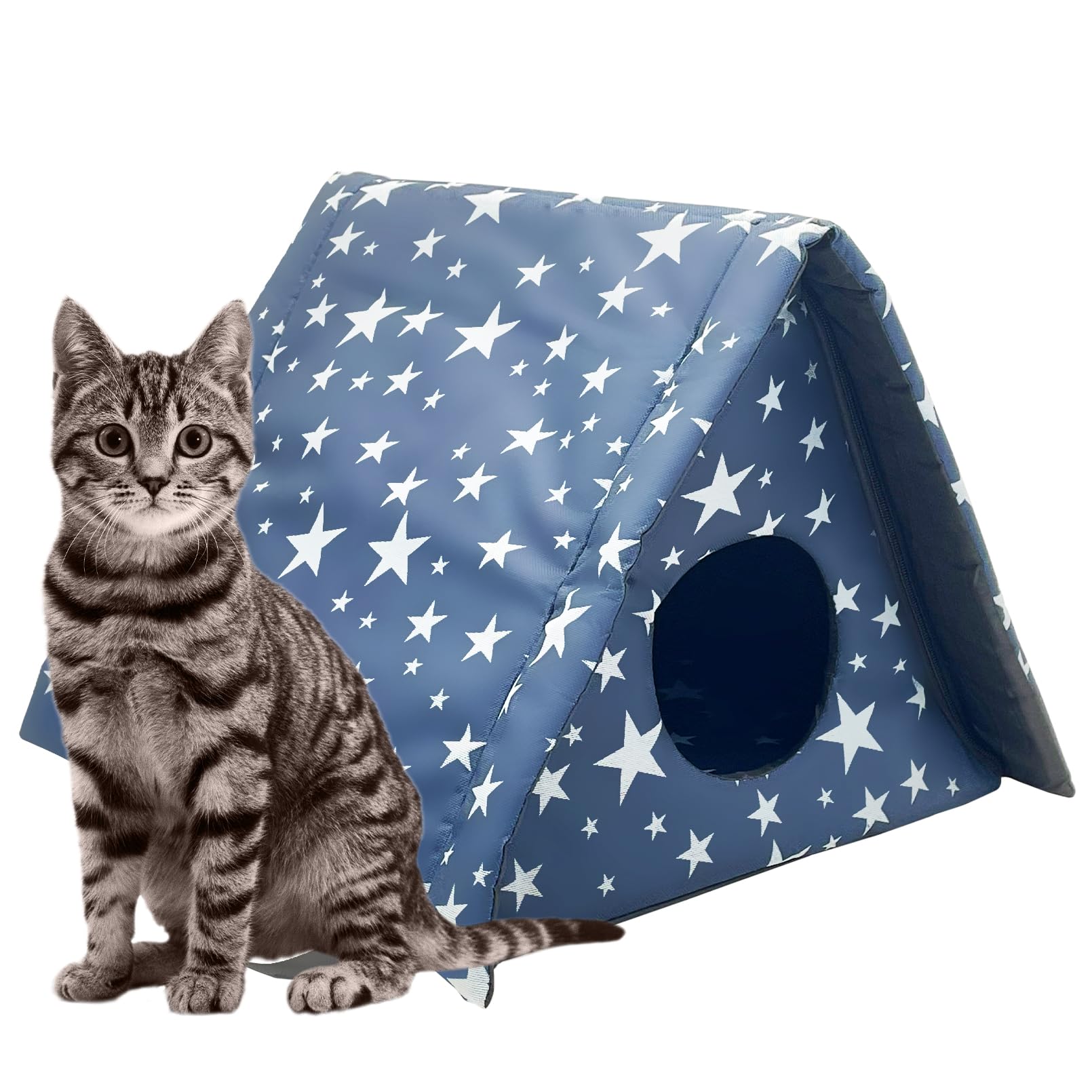 Amazon.com : Fhiny Stray Cats Shelter, Waterproof Outdoor Cat House ...