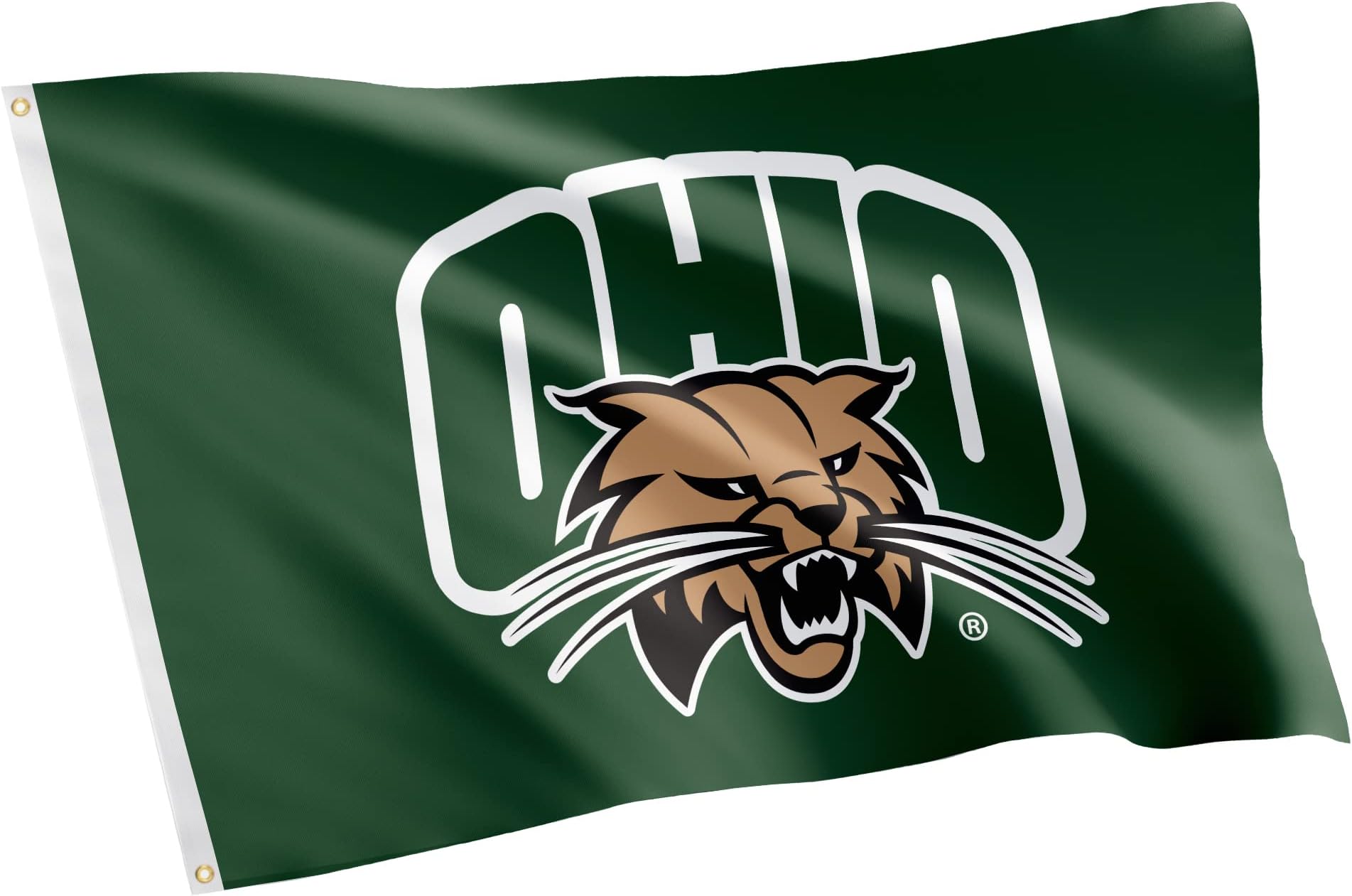 Amazon.com : Desert Cactus University of Colorado Flag Buffaloes CU ...