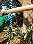 Amazon.com: Slackers 8 ft Rope Ladder - Best Outdoor Ninja Warrior ...