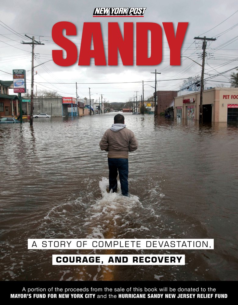 Sandy: A Story of Complete Devastation, Courage, and Recovery: New York ...