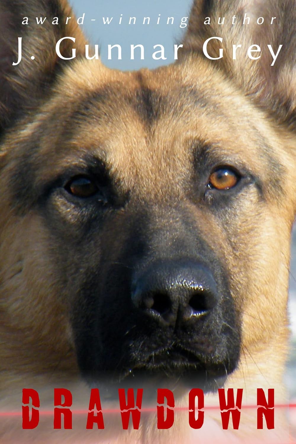 Amazon.com: Drawdown (NATO Rapid Response Team) eBook : Grey, J. Gunnar: Books