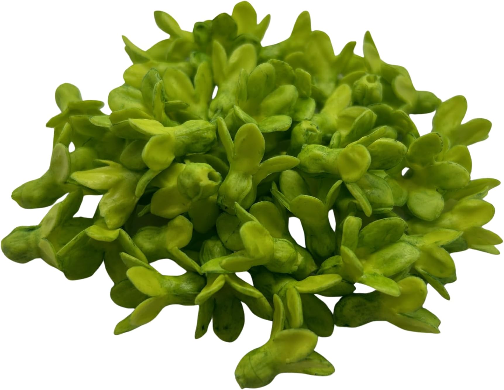 Amazon.com: Thai Clay Pakalana (Cowslip Creepers) Flower Beads for ...