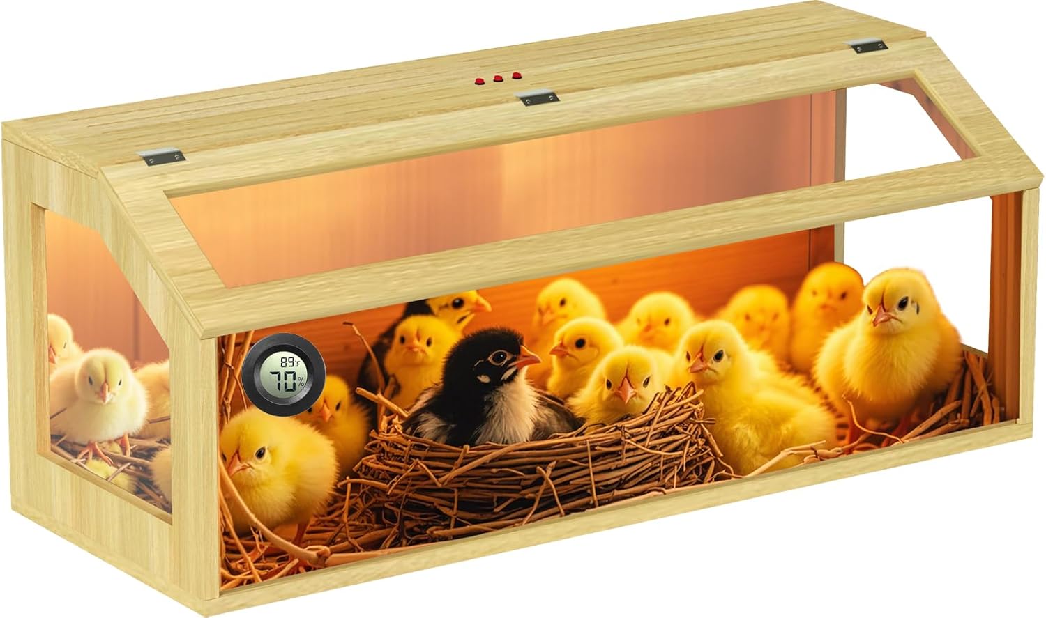 Amazon.com: Chick Brooder Box 48", Up to 55 Chicks, Extra Large Chicken ...