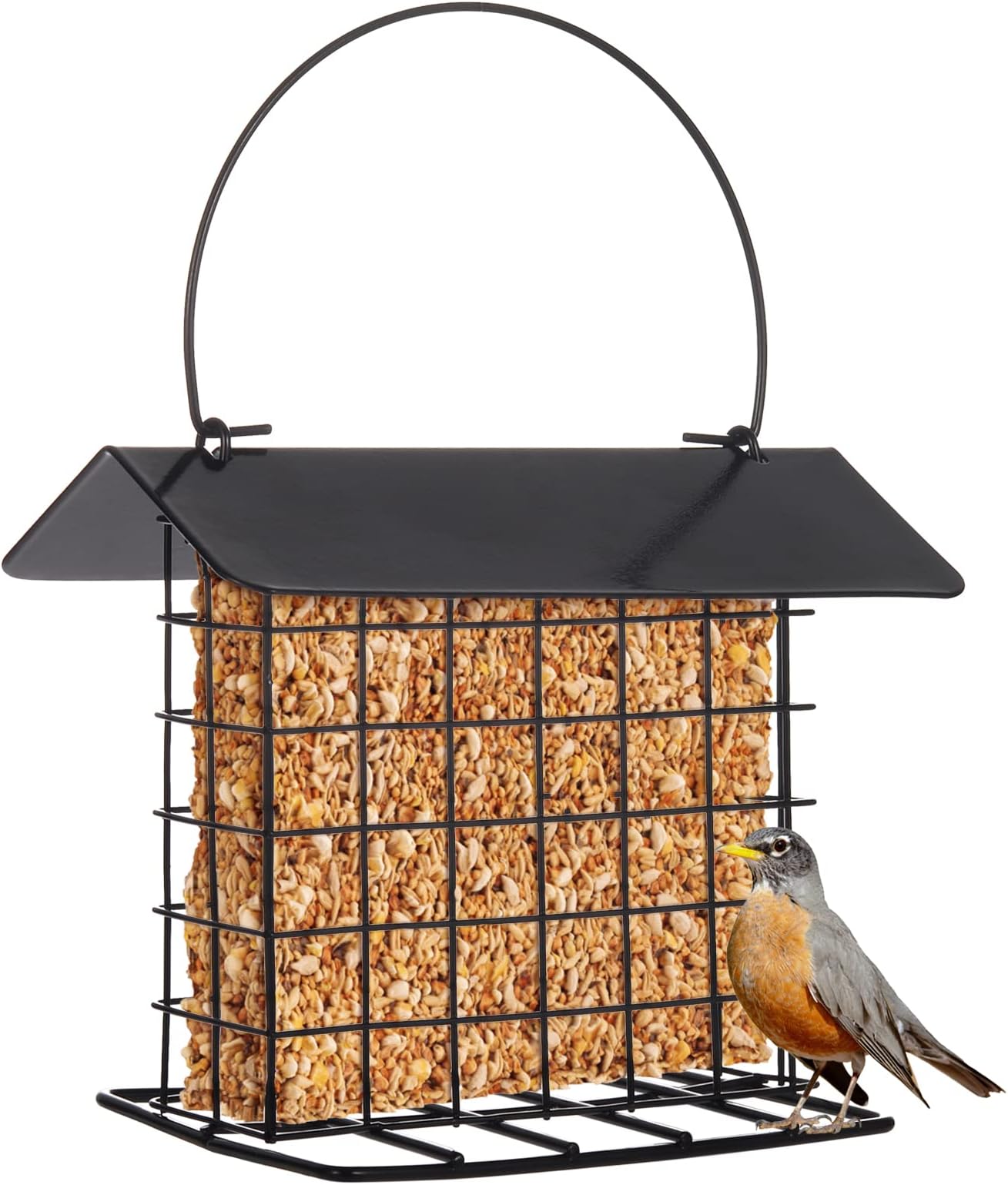 Amazon.com : Wild Delight Block Feeder : Wild Bird Feeders : Patio ...