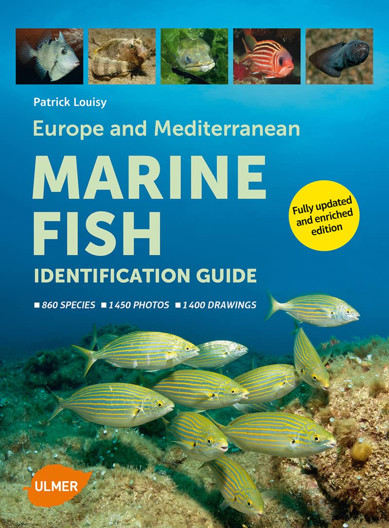 Marine Fish Identification Guide Louisy Patrick Amazon it Libri marine-fish-identification-guide-louisy-patrick-amazon-it-libri