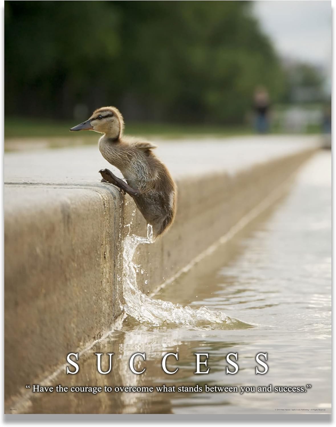 Amazon.com: Duck Duckling Motivational Poster Art Print 11x14 Success ...