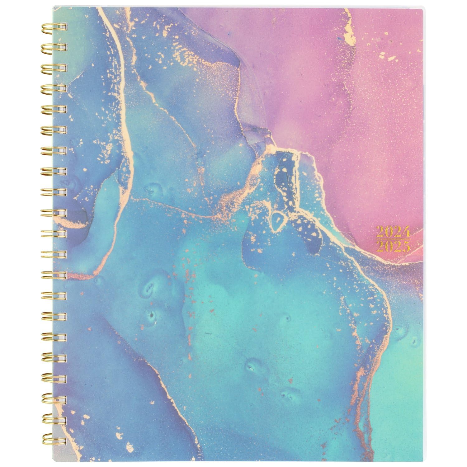 Cambridge Planner 2024-2025 Academic, Weekly & Monthly, 8-1/2" x 11 ...
