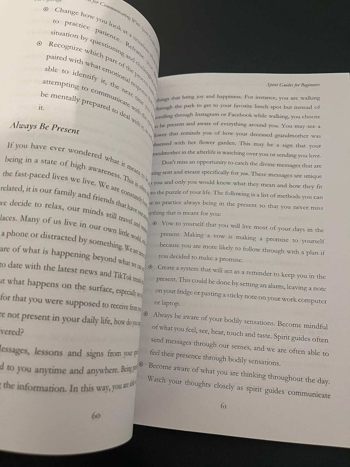 Spirit Guides for Beginners: How to Communicate with the Afterlife ...