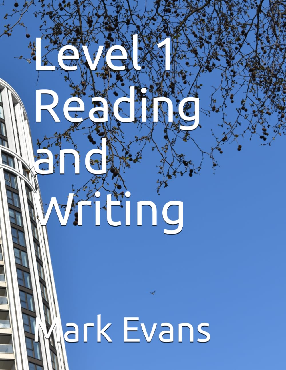 Level 1 Reading and Writing: Amazon.co.uk: Evans, Mark: 9798410383615 ...