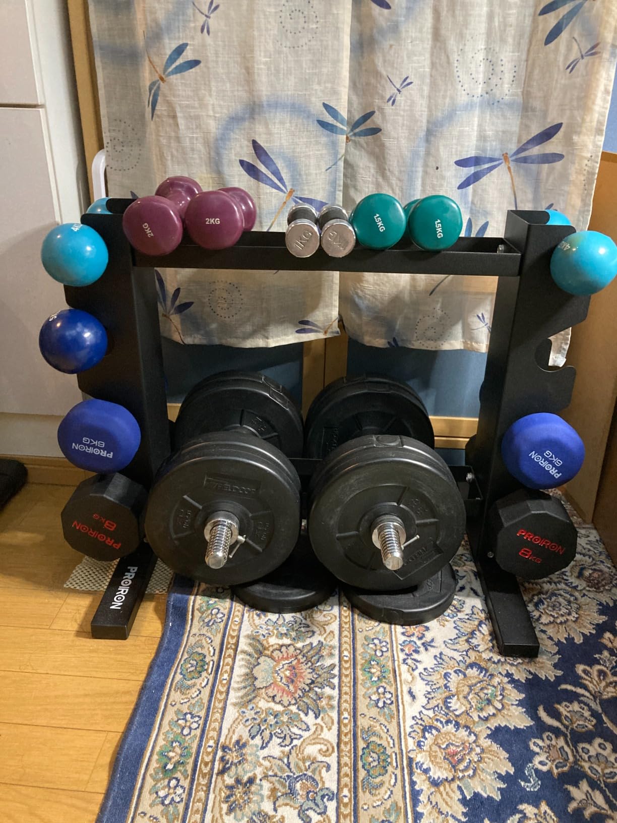 Amazon | PROIRON ダンベルラック ワンピース鋼 | PROIRON | ダンベル・アレー