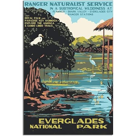 Amazon.com: The Everglades National Park, Florida, Alligator Scene ...