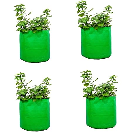 VISIK Terrace Gardening Leafy Vegetable Green Grow Bag | Seeds Grow Bag ...